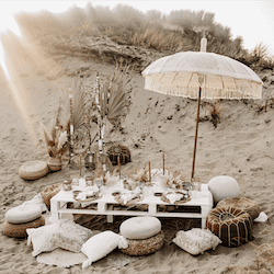 250x250-Posh-Picnic-1.png